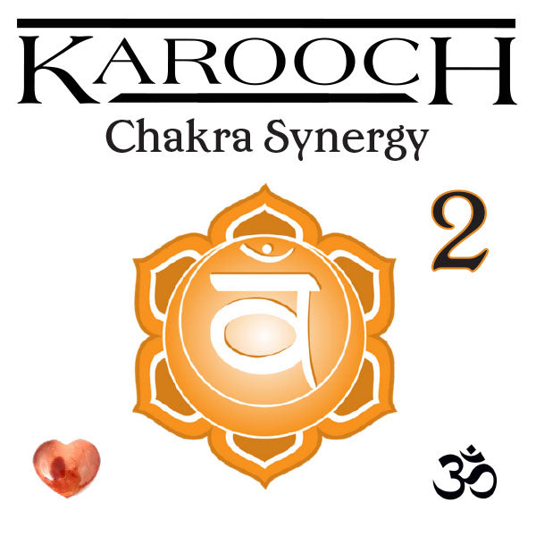Chakra Synergy Number 2 - Alypsis